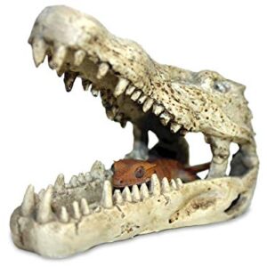 Pangea Reptile Crocodile Skull Terrarium Decoration, Tan