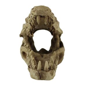 Pangea Reptile Crocodile Skull Terrarium Decoration, Tan