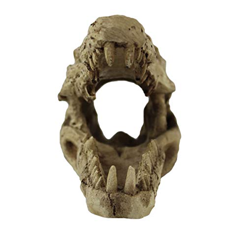 Pangea Reptile Crocodile Skull Terrarium Decoration, Tan