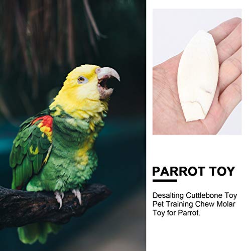 POPETPOP Bird Beak Stone -12PCs Bird Cuttle Bone Parrot Beak Grinder Desalting Cuttlebone Toy Pet Training Chew Molar Toy (Each Pcs Slight Different in Size)