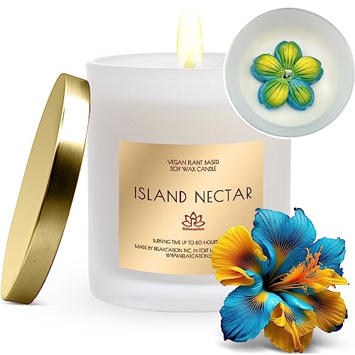 Highly Scented Candle with Island Nectar Aroma | Natural Clean-Burn Eco-Friendly Soy Wax | Handmade in USA in Big Glass Jar and Giftable Box | Burn Up to 80 Hours | Gift for Her