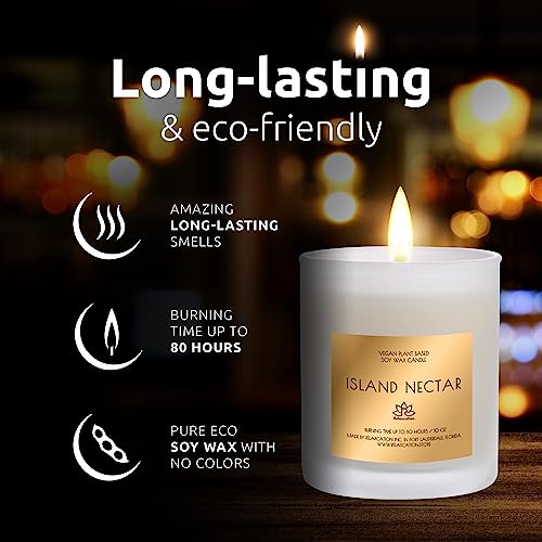 Highly Scented Candle with Island Nectar Aroma | Natural Clean-Burn Eco-Friendly Soy Wax | Handmade in USA in Big Glass Jar and Giftable Box | Burn Up to 80 Hours | Gift for Her