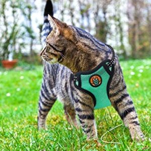 AWOOF Reflective Kitten Harness and Leash Escape Proof with Car Seat Belt, Adjustable Cat Puppy Walking Jacket with Metal Leash Ring, Soft Breathable Small Pet Vest (S)