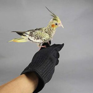 Bonaweite 1 Pair Bird Training Anti-Bite Gloves, Pet Parrot Chewing Protective Handling Gloves for Conures Cockatiels Parrotlets Finch Macaw African Budgies Parakeet Agapornis Fischeri