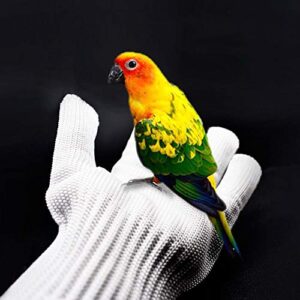 Bonaweite 1 Pair Bird Training Anti-Bite Gloves, Pet Parrot Chewing Protective Handling Gloves for Conures Cockatiels Parrotlets Finch Macaw African Budgies Parakeet Agapornis Fischeri