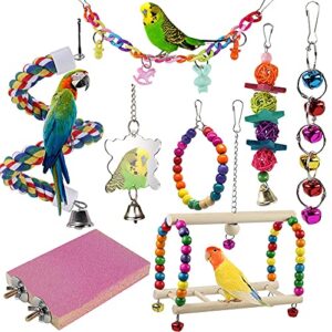 bird toys parrot swing toy with colorful wooden beads bells and pet bird cage hanging chew toys for small parakeets cockatiels, conures, macaws, lovebirds, finches 8pcs