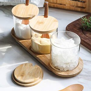 Vermida Condiment Container Seasoning Box Set,Spice Jars Glass Seasoning Food Storage Containers with Bamboo Lid and Bamboo Spoon for Home and Kitchen,Salt Sugar Spice Pepper Jar,Set of 1 (1 pcs)