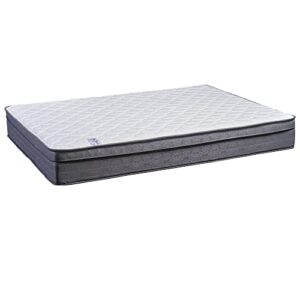 Nutan 10-Inch Meduim Firm Foam Encased Hybrid Eurotop Pillowtop Innerspring Fully Assembled Mattress, Good For The Back (twin)