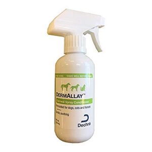 dechra dermallay oatmeal spray conditioner for dogs, cats & horses (8oz) - gentle and soothing, 8 ounce (1810077)