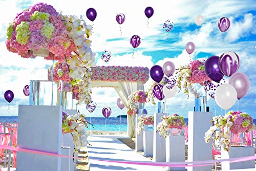 50 Pcs 12 Inches Purple and White Balloons, Purple Confetti Balloons, Purple and Lavender Balloons, Helium Balloons for Wedding Birthday Party Decorations Balloon Garland Arch Purple Theme Graduation