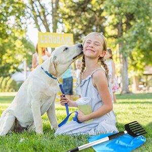 SKYFIELD Pooper Scooper Rake, 3-Stage Extendable Metal Dog Poop Rake Steel Poop Scoop Rake for Large Medium Small Dogs, Length Handled Range 19.7'' to 38.5'',Came with Storage Bag