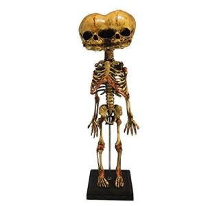 asylum zone vintage triclops 3-eyed baby fetus skeleton fetal specimen oddity