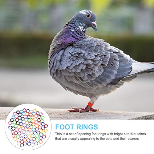 POPETPOP 200 Pcs Poultry Leg Bands Foot Identify Clip Rings Band for Pigeon Parrot Chicks Duck Lovebirds Supplies (Random Color)