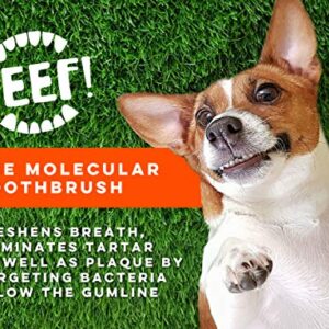 TEEF! Daily Dental Care – Natural Dog Dental Water Additive, 30 Day Supply – Award Winning Formula Fights Plaque and Tartar – No Brushing, Add to Water Bowl – Say Hello to Healthier Gums