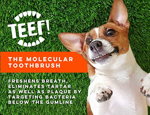 TEEF! Daily Dental Care – Natural Dog Dental Water Additive, 30 Day Supply – Award Winning Formula Fights Plaque and Tartar – No Brushing, Add to Water Bowl – Say Hello to Healthier Gums