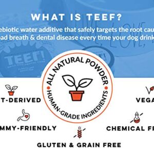 TEEF! Daily Dental Care – Natural Dog Dental Water Additive, 30 Day Supply – Award Winning Formula Fights Plaque and Tartar – No Brushing, Add to Water Bowl – Say Hello to Healthier Gums