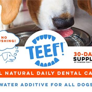 TEEF! Daily Dental Care – Natural Dog Dental Water Additive, 30 Day Supply – Award Winning Formula Fights Plaque and Tartar – No Brushing, Add to Water Bowl – Say Hello to Healthier Gums