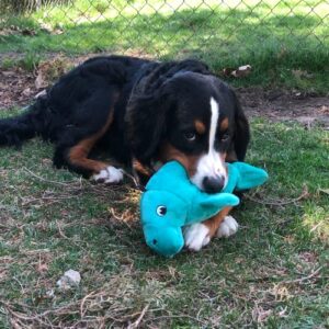 SmartPetLove Snuggle Puppy Tender-Tuffs - Large Marine Stuffed Plush Manatee Toy - with Puncture Resistant Squeaker, Great for Big Dogs