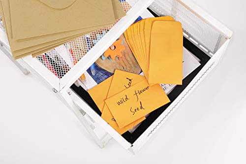 ValBox No.1 Coin Envelopes 2.25x 3.5 Small Parts Envelope with Gummed Flap for Home, Garden or Office Use, Brown Kraft Seed Envelopes 1000 per Box