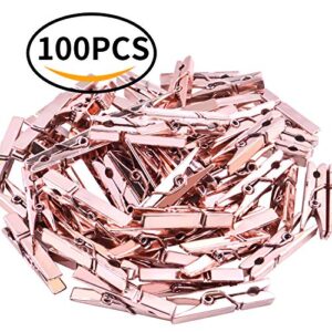 Mini Plastic Clips, 100 Pieces Rose Gold Photo Paper Pegs Clothespins Craft Clips for Hanging Pictures Clothes Paper Arts Crafts, Length : 3.5cm