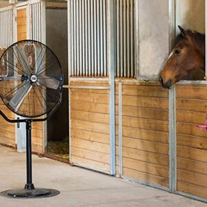 Maxx Air Extreme Power Industrial Pedestal Fan | Heavy Duty 30" Stand Fan, 4800 CFM