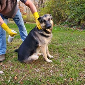 $averPak InsectGuard Permethrin Mosquitoes, Ticks and Flies Repellent & Insecticide Spray for Pet Dog Horse Blanket Bed Kennal Stabels & More - Gallon (128oz)