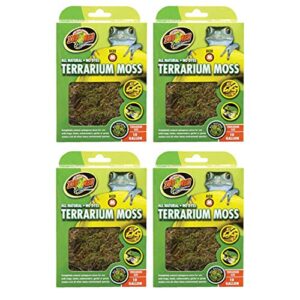 4-pack terrarium moss 10 gallon