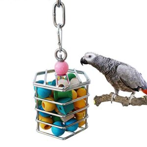 Stainless Steel Food Fruits Basket for Budgies Eclectus Parrot , Black Headed Caique Cheeks Macaw, Lovebird, Green cheek Conure, Bird Cage Feeder, Squirrel & Hamsters Feeding Device, Bird Feeder