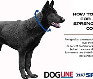 Herm Sprenger Stainless Steel Prong Dog Training Collar Ultra-Plus Pet Pinch Collar No-Pull Collar for Dogs Anti Pull Training Collar Made in Germany 3.2mm x 23in Medium