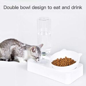 Marchul Cat Bowls, Cat Food Bowls, Cat Dog Tilted Water and Food Bowl Set, Raised Cat Bowl for Small or Medium Size Dogs Cats