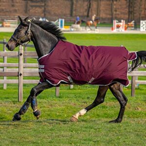 horseware ireland amigo hero ripstop turnout blanket (50g medium-lite), size: 78, color: fig (silver trim)