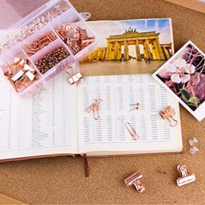 Push Pins Binder Clips Paper Clips Map Tacks Sets, 5 Styles 396 Pcs Rose Gold Pack for Office, School and Home Supplies (Pin and Clips)