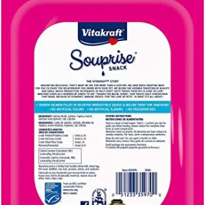 Vitakraft Souprise Snack Wet Cat Treat - Salmon - Lickable Treat or Dry Cat Food Topper