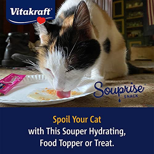 Vitakraft Souprise Snack Wet Cat Treat - Salmon - Lickable Treat or Dry Cat Food Topper