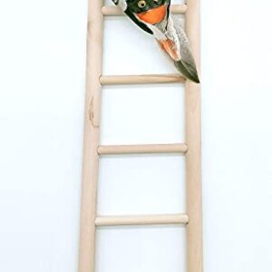 2pcs Wooden Ladder for Bird Parrot Ladder Cage Climbing Toy Birdie Basics (5 Step & 7 Step)