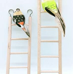 2pcs Wooden Ladder for Bird Parrot Ladder Cage Climbing Toy Birdie Basics (5 Step & 7 Step)