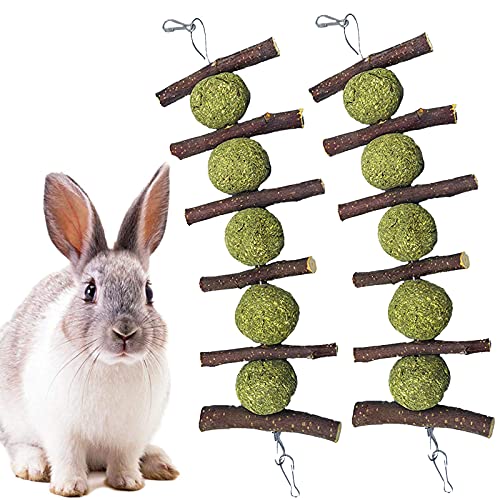 Rabbit Toys Guinea Pig Toys Bunny Toys Small Animal Chew Treat 100% Natural Materials Handmade Hamster Food for Chinchilla Hamsters Rat