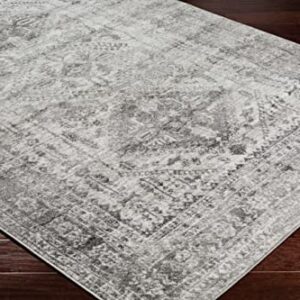 Artistic Weavers Desta Vintage Oriental Runner Area Rug,2'7" x 7'3",Charcoal