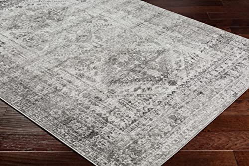 Artistic Weavers Desta Vintage Oriental Runner Area Rug,2'7" x 7'3",Charcoal