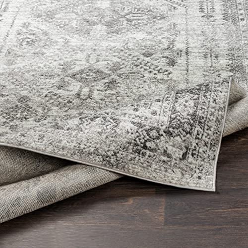 Artistic Weavers Desta Vintage Oriental Runner Area Rug,2'7" x 7'3",Charcoal