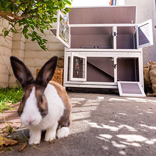 Be Mindful | Bunny Hutch for Rabbits and Other Small Animals