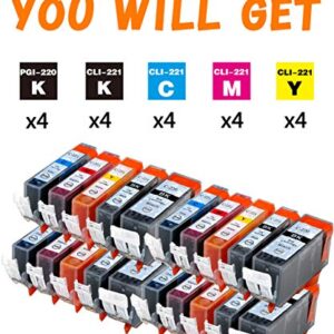 20-Pack Compatible PGI220 CLI221 Ink Cartridge PGI-220 CLI-221 Used for Canon PIXMA MX860 MX870 MP540 MP550 MP560 MP620 MP640 MP980 IP3600 IP4700 Printer (4XLBK/4BK/4C/4M/4Y), by EasyPrint