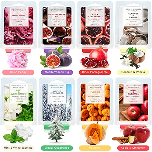 SCENTORINI Scented Wax Melts, Wax Cubes, Scented Soy Wax Melts, 8x2.5 oz, Pumpkin, Apple & Cinnamon, Winter Cedarwood, Mint & White Jasmine, Coconut & Vanilla, Black Pomegranate, Mediterranean Fig