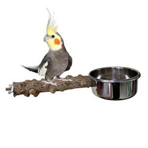 vehomy natural wood bird perch with bird feeding cups bird stainless steel food water bowls dish feeder for cockatiel conure budgies parakeet parrot bird platform stand