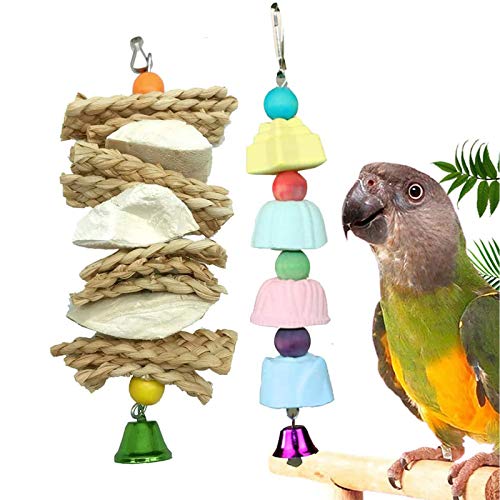 kathson Bird Cuttlebone, Parakeet Beak Stone Mineral Lava Blocks Trimming Chew Toys Pumice Stones for Conures Cockatiels Parrots Budgies and African Gray (2 Pack)