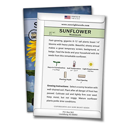 Sow Right Seeds - Mammoth Sunflower Seeds for Planting - Grow Giant Grey Stripe Sun Flowers in Your Garden - Non-GMO Heirloom Seeds with Full Instructions for Planting Bright Sunflowers at Home (1)