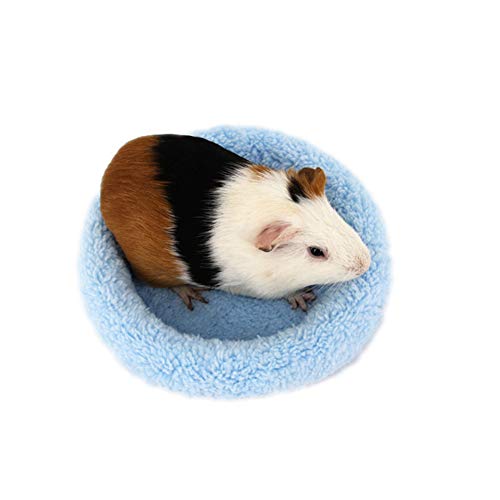 Traumdeutung Plush Small Pet Bedding for Guinea Pig Chincilla Hedgehog (L, Blue)