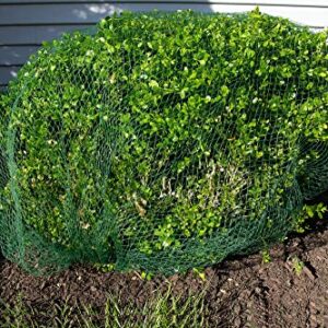 Deer-Terrent Plant Netting Cover- Size 6' X 6' for Shrubs Up to 2.5-3' Tall (6ft x 6ft). Repels Deer from Your Plants. Deer Protection for Plants