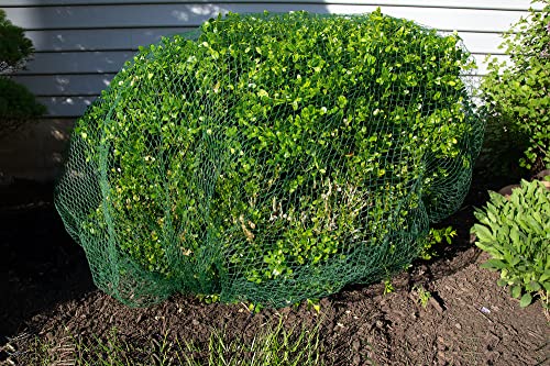 Deer-Terrent Plant Netting Cover- Size 6' X 6' for Shrubs Up to 2.5-3' Tall (6ft x 6ft). Repels Deer from Your Plants. Deer Protection for Plants