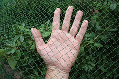 Deer-Terrent Plant Netting Cover- Size 6' X 6' for Shrubs Up to 2.5-3' Tall (6ft x 6ft). Repels Deer from Your Plants. Deer Protection for Plants